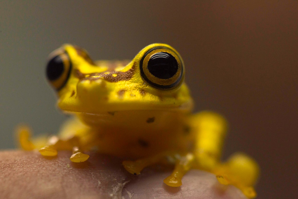 Top animal photos of 2013