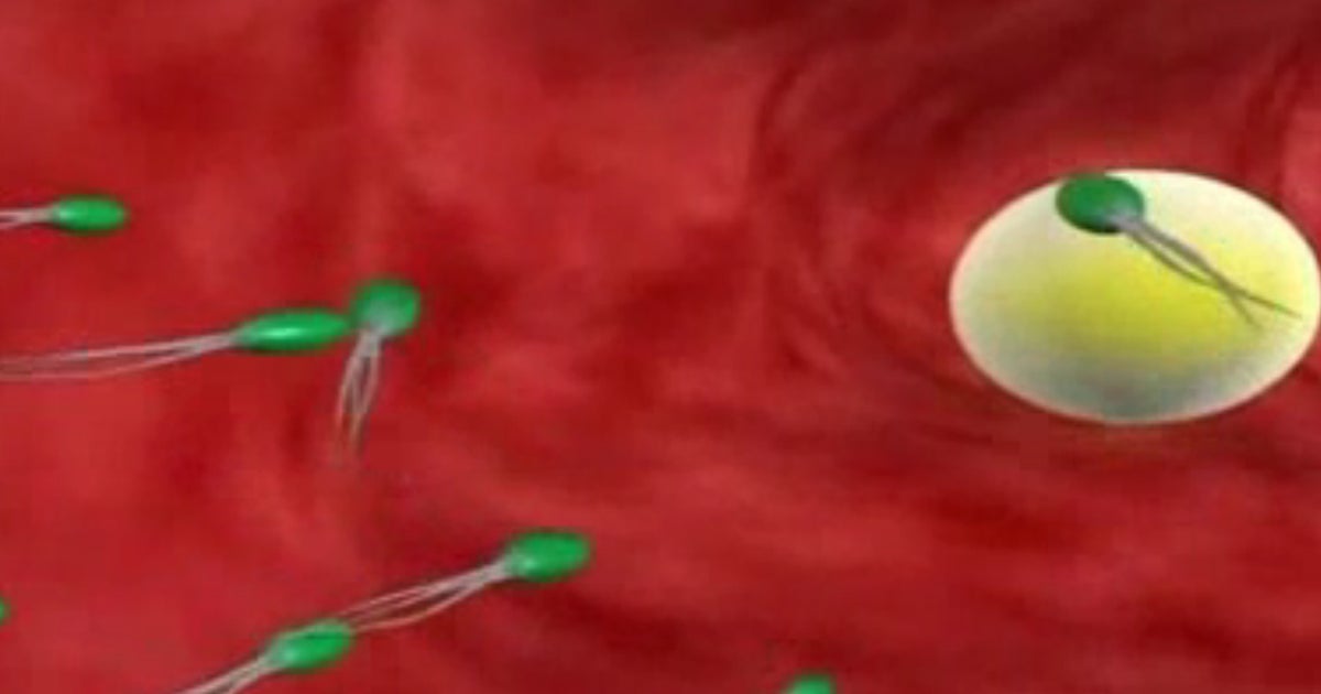 Cancer-fighting nanorobot may be able to target tumors, spare healthy ...