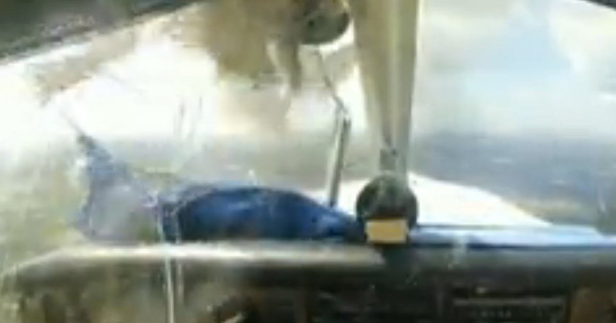 Video catches bird striking windshield of personal plane in Florida ...
