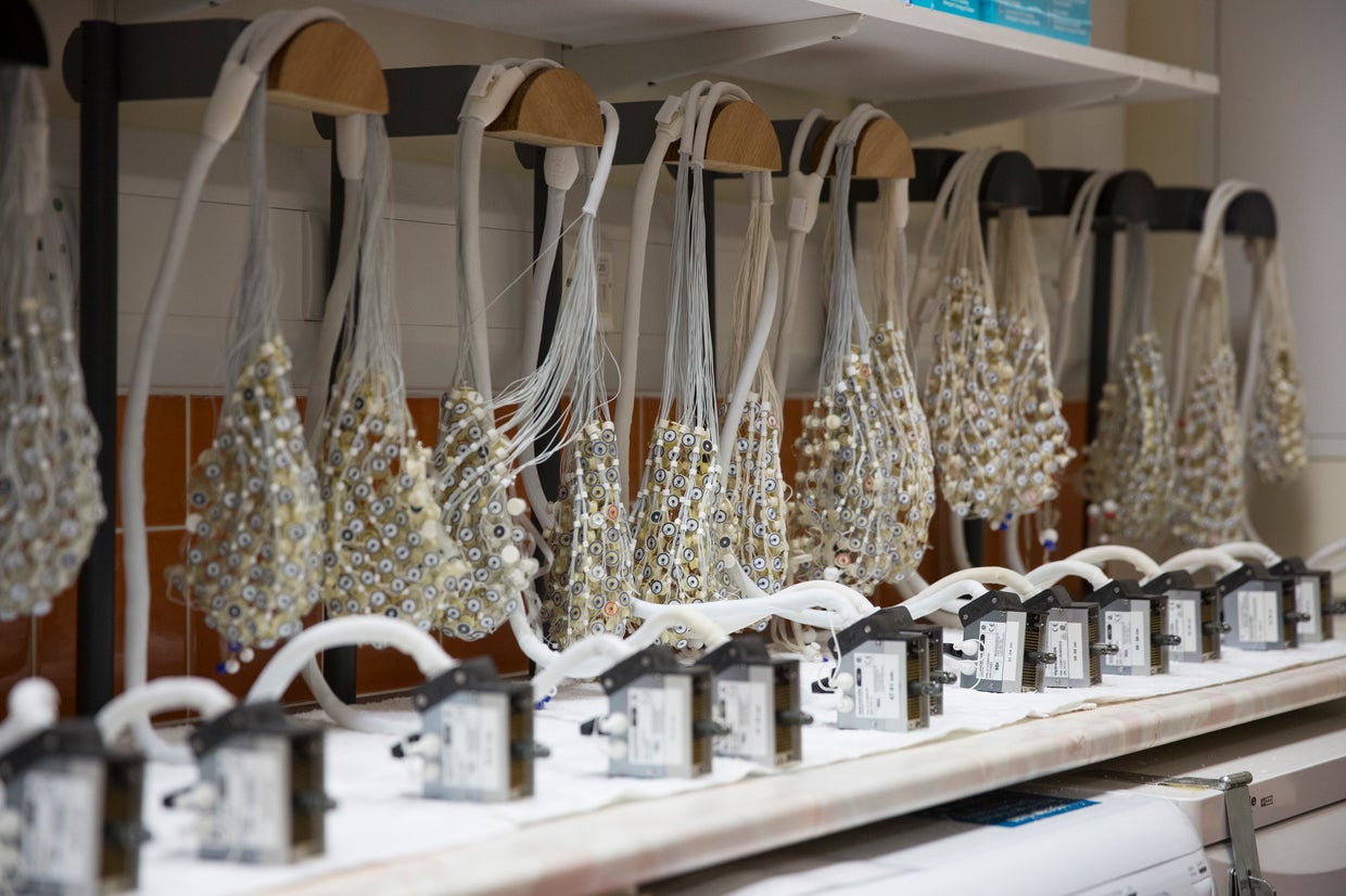 Unlocking secrets of babies' brains