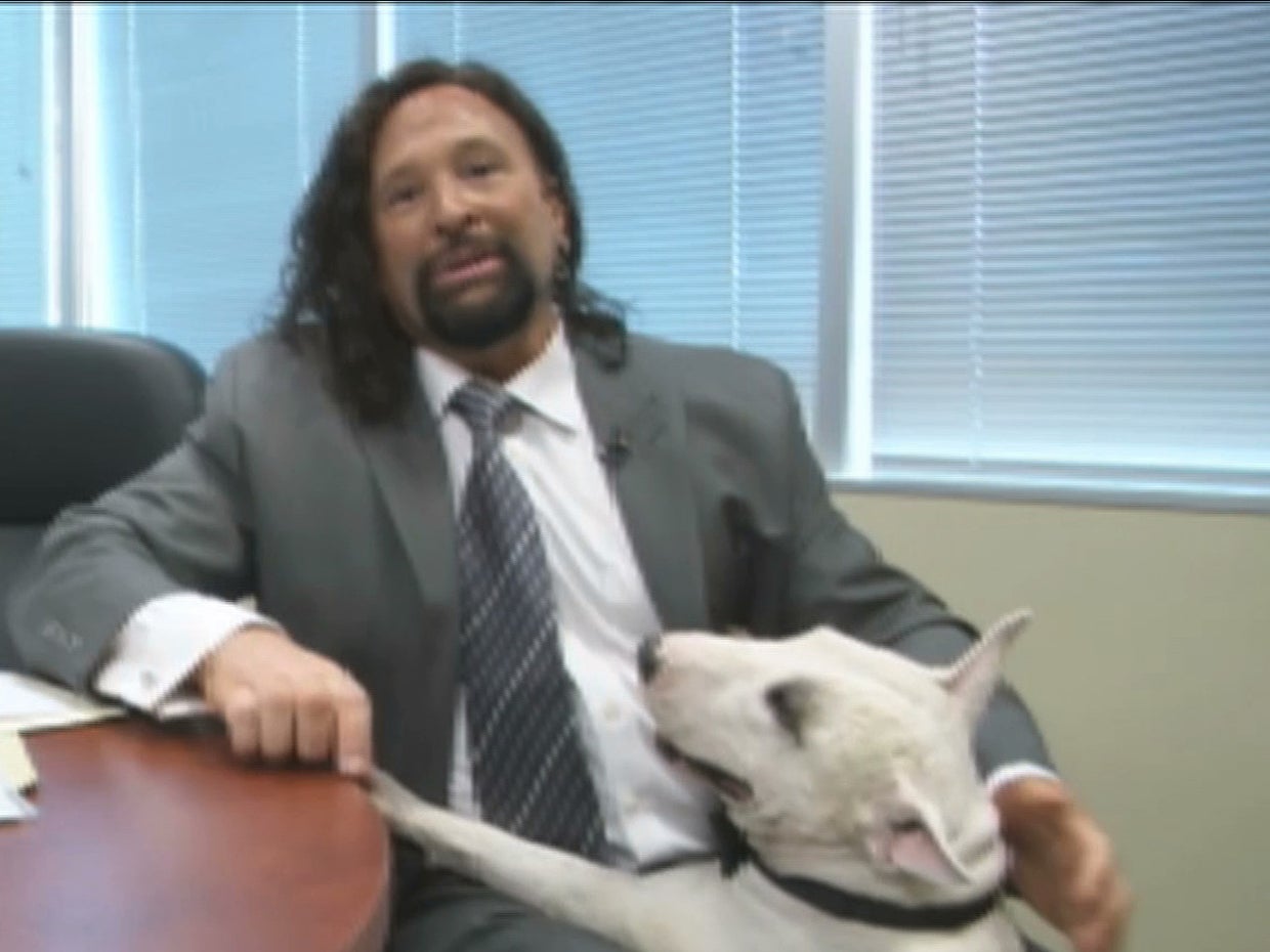 Fraudsters looking to scam lawyer get Walter the pooch instead - CBS News