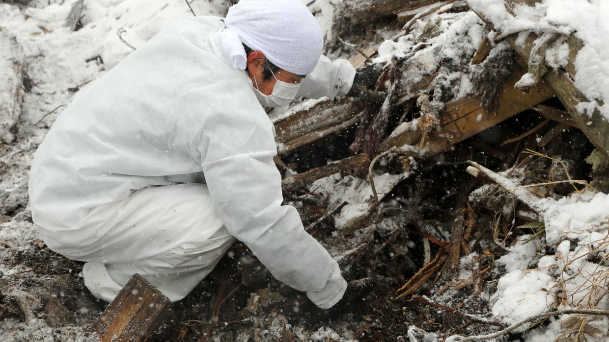 Potentially radioactive wild boars worry Fukushima - CBS News