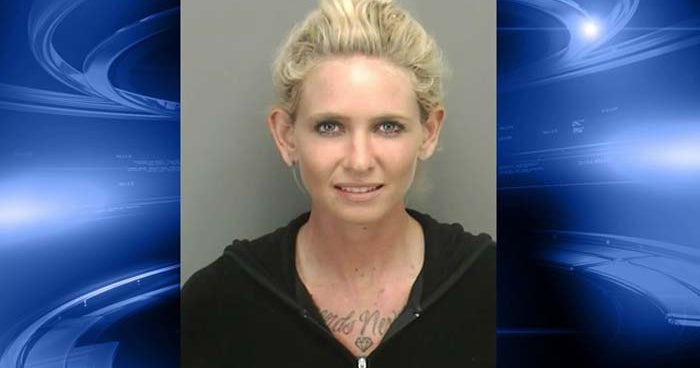 Jill Hansen, self-proclaimed pro surfer, charged with attempted murder ...