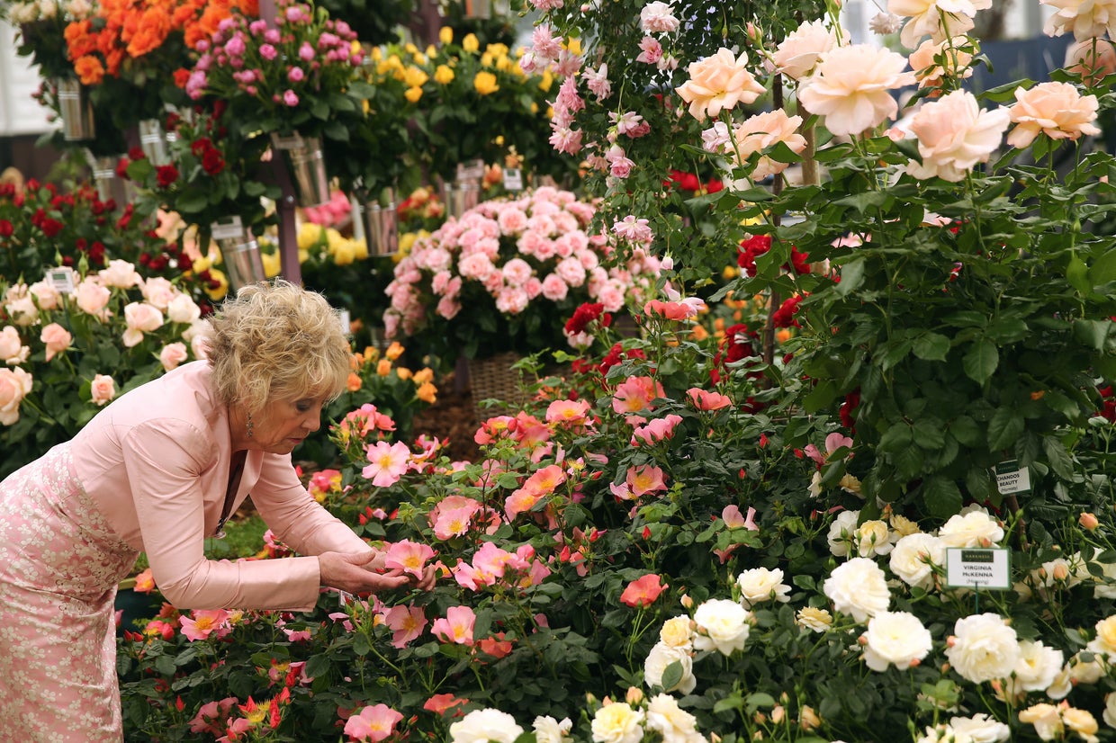 Flowers galore in Chelsea, London