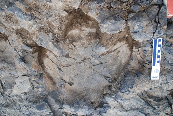 Huge trove of dinosaur footprints discovered in Alaska - CBS News