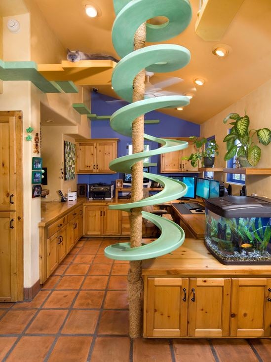 5 customized homes that provide luxury living for pets