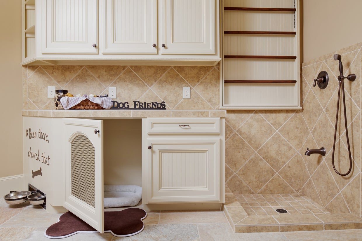 5 customized homes that provide luxury living for pets