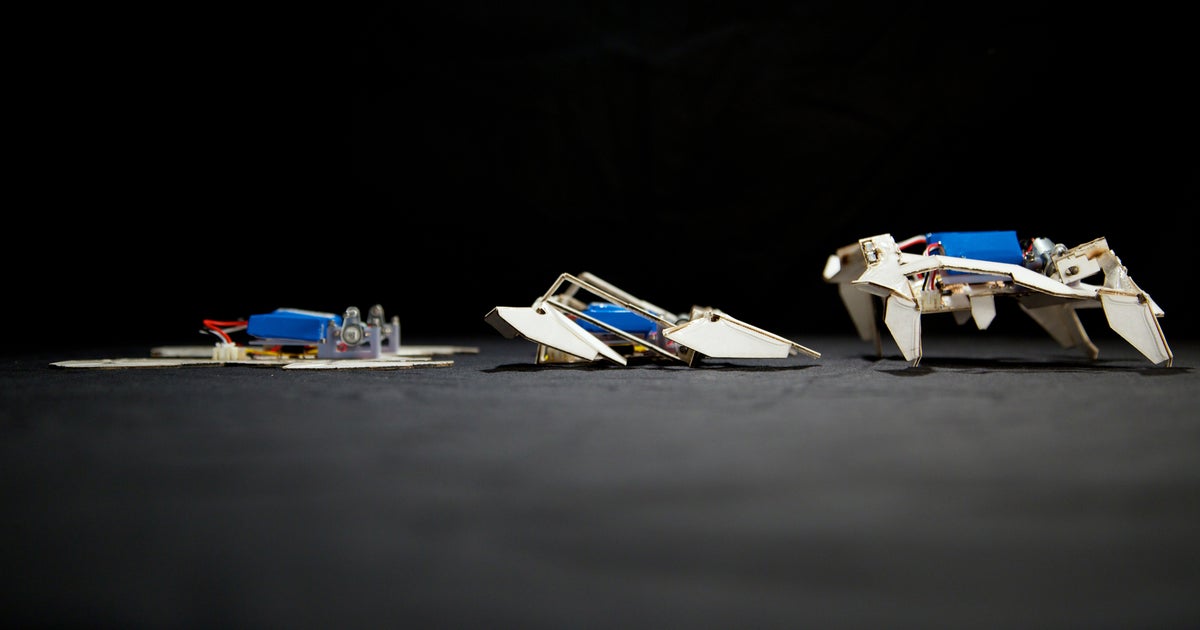 Watch origami robot spring to life - CBS News