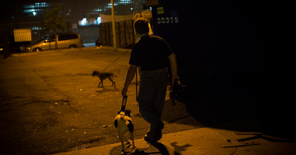 Rat catchers of New York