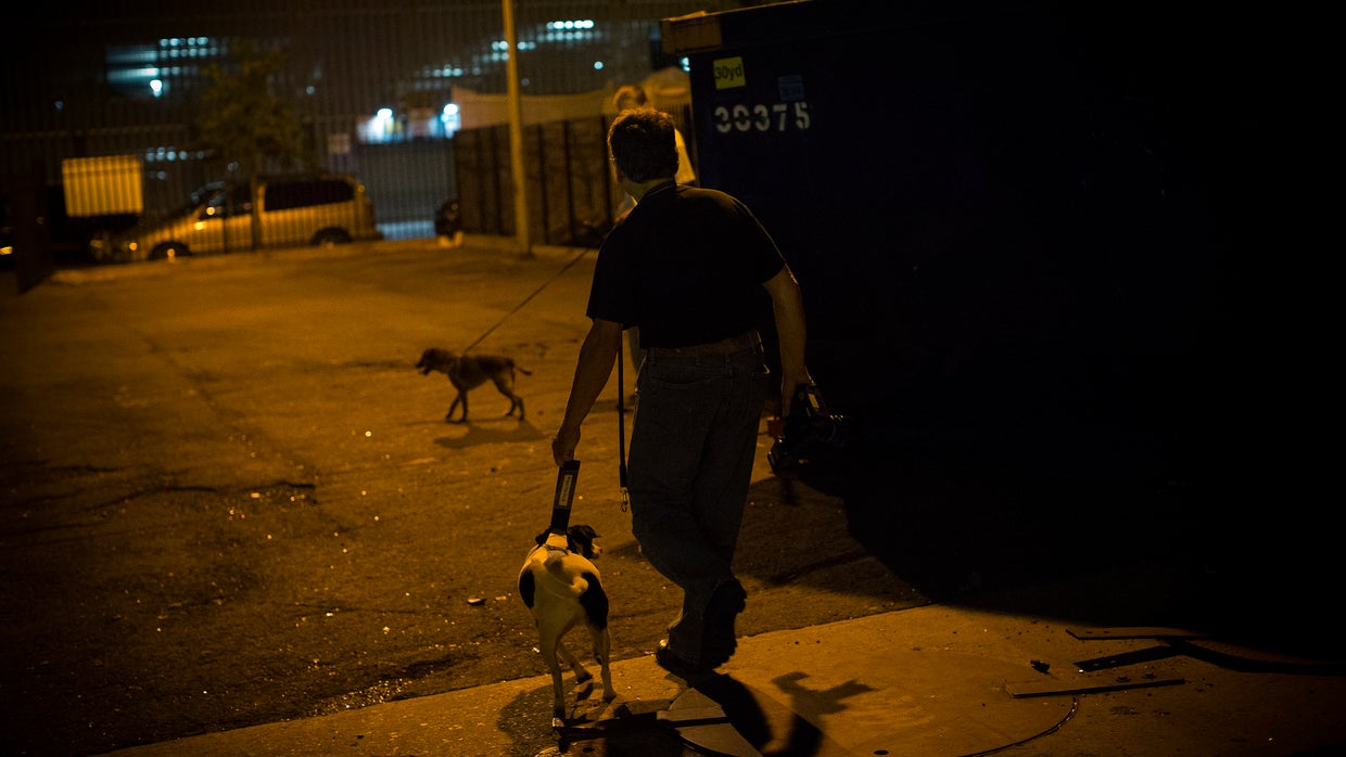 Rat problem won't go away in New York neighborhood - CBS News