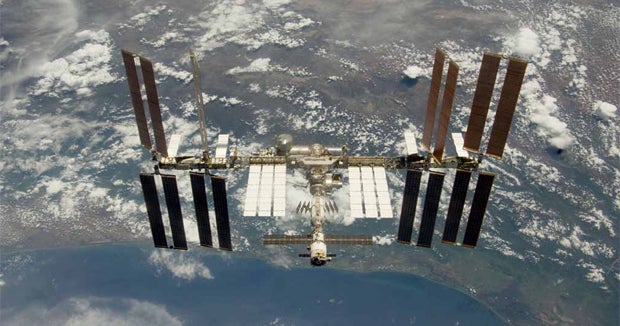 Rats in spaaace! NASA experiments to involve rodents and more - CBS News