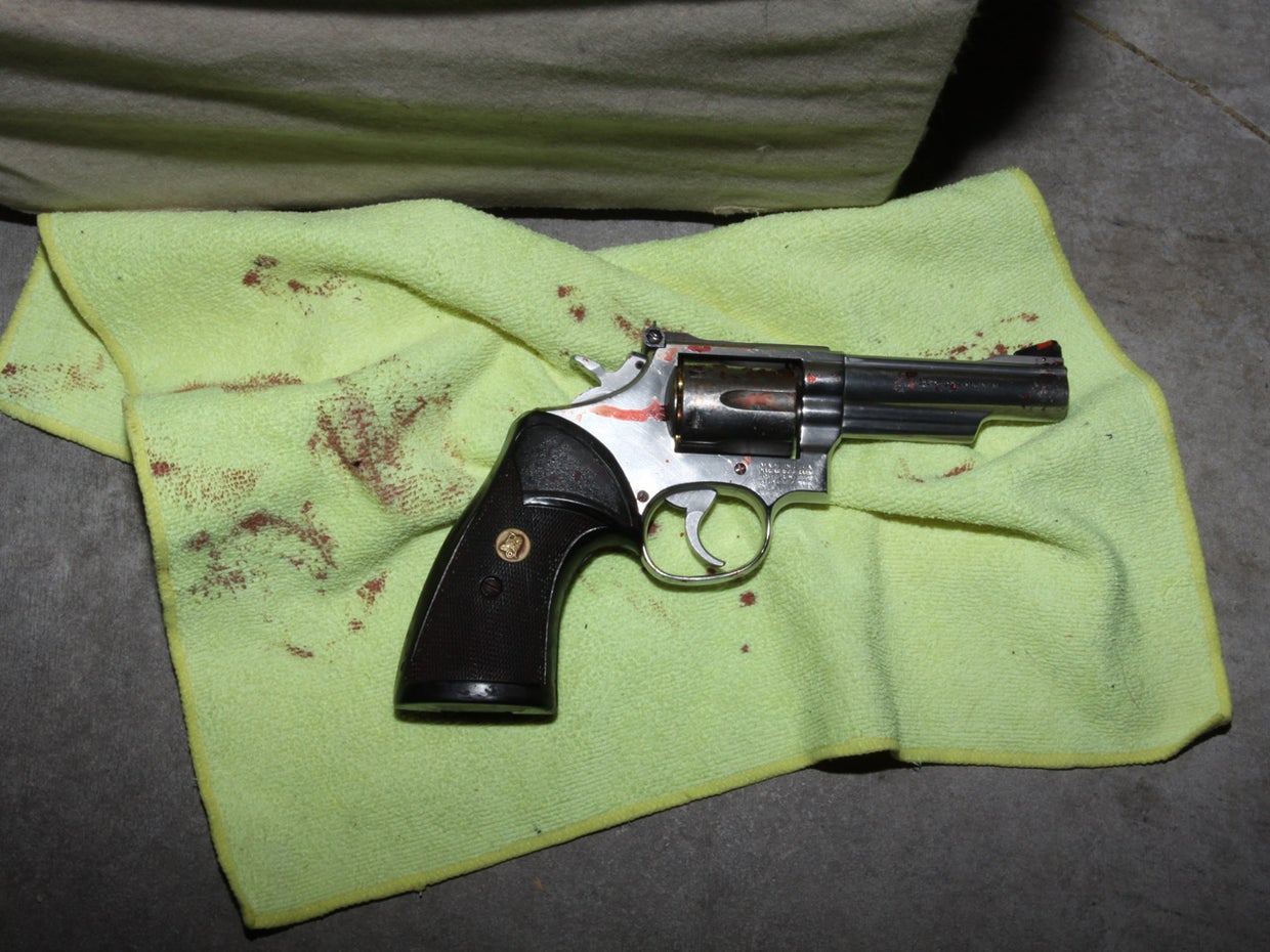 One gun, two crimes? The trials of Linda Cooney