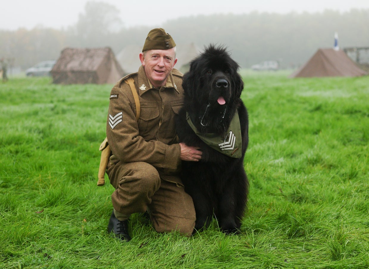 A "wartime" weekend