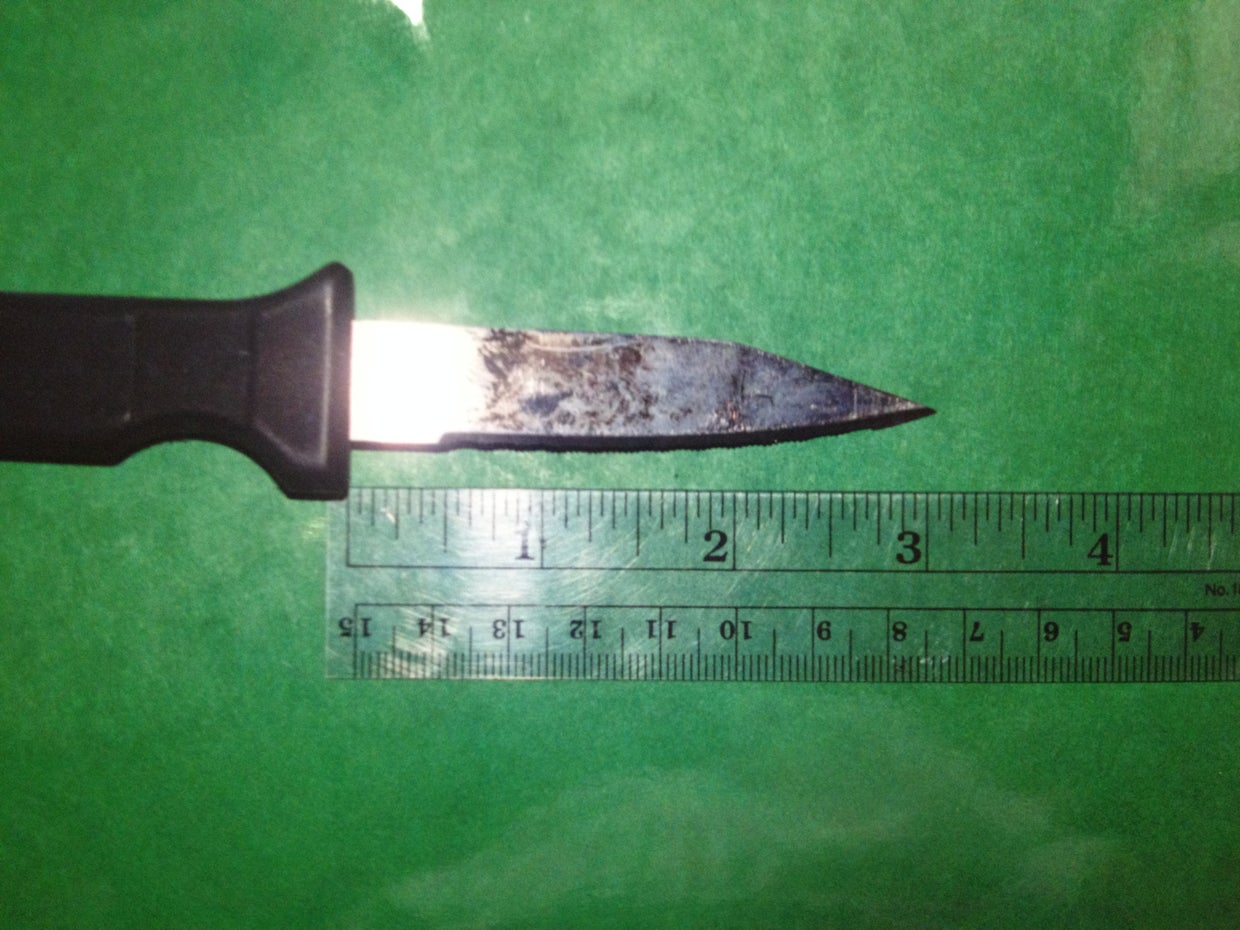 The evidence: Catching Robert Koppa