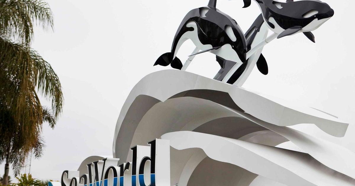 CEO of struggling SeaWorld to step aside - CBS News