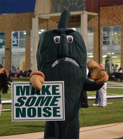 Lovable (and lovably bizarre) college sports mascots