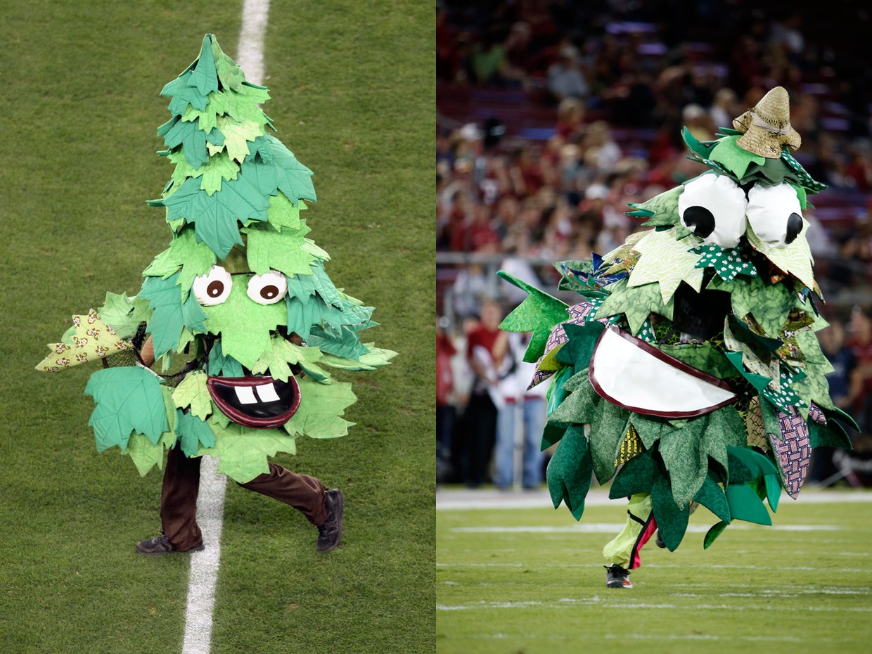 Lovable (and lovably bizarre) college sports mascots