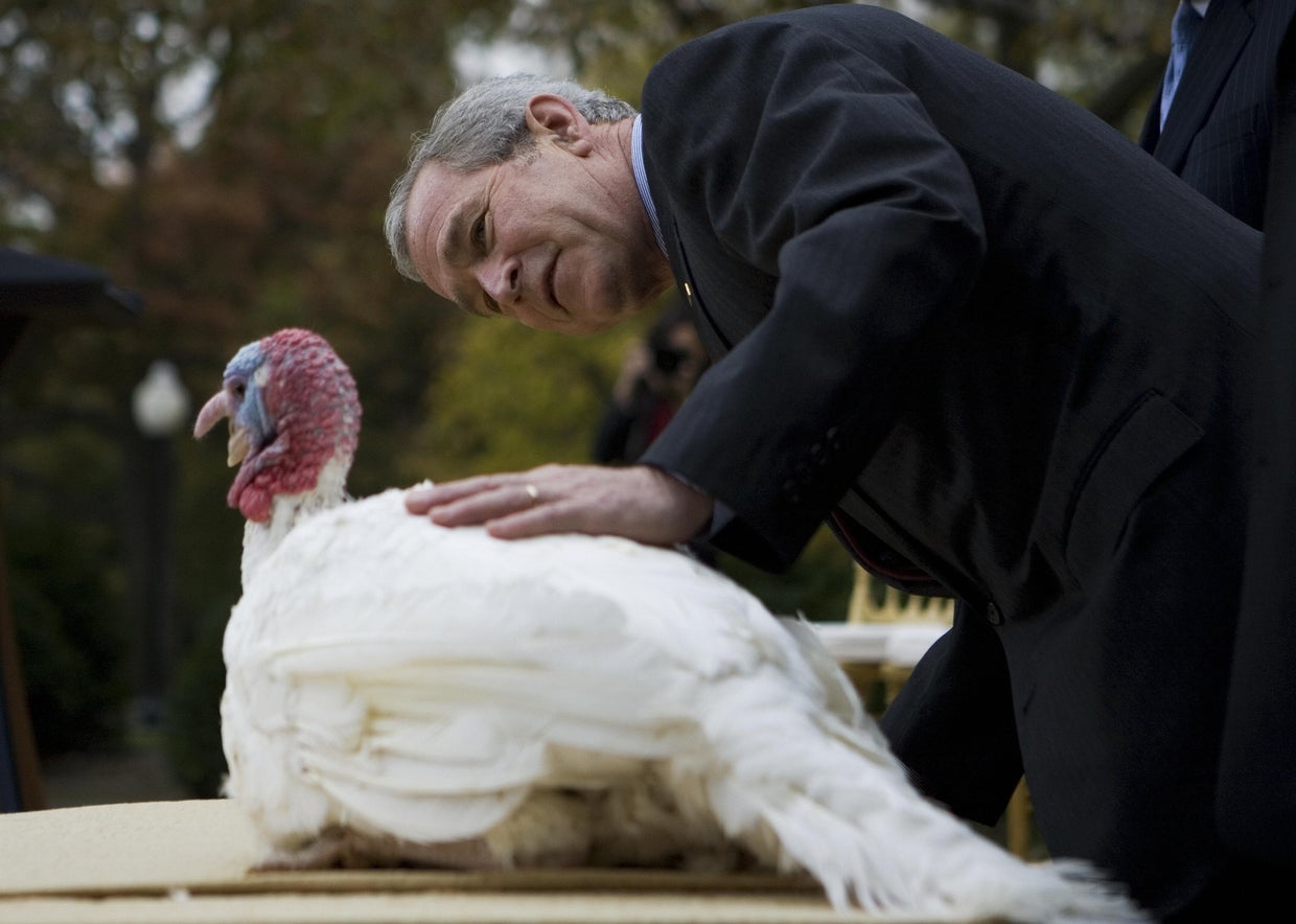 Why presidents started pardoning turkeys - CBS News Why presidents started pardoning turkeys - CBS News