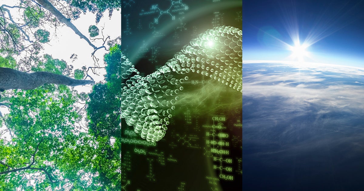 The year to come in SciTech: Expert predictions for 2015