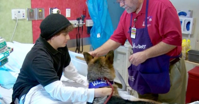 "Doggies for Anthony" photos flood in to support cancer patient - CBS News