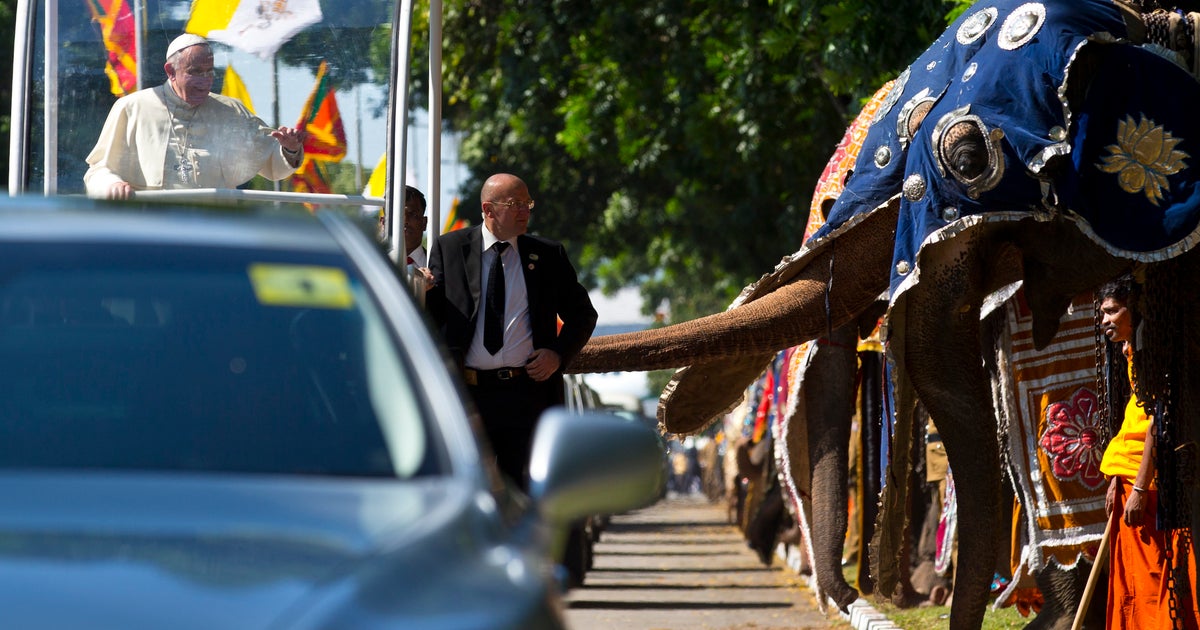 Pope Francis greeted by 40 elephants and 21-canon salute in Sri Lanka ...