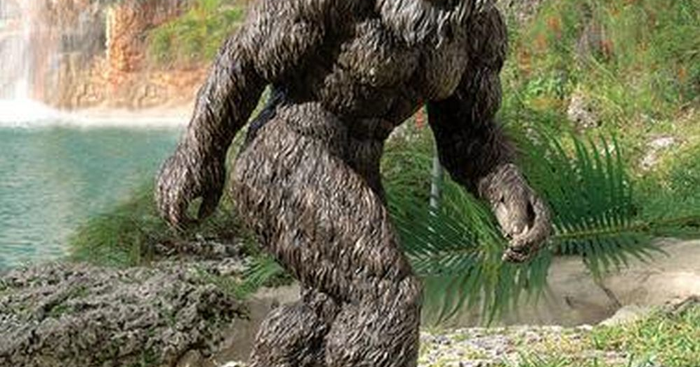 The best of SkyMall