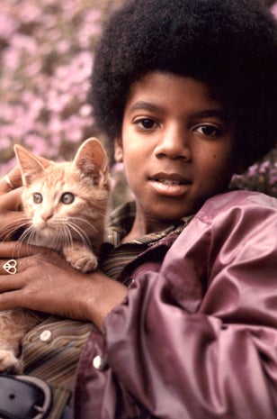 Iconic rock star photos by Henry Diltz