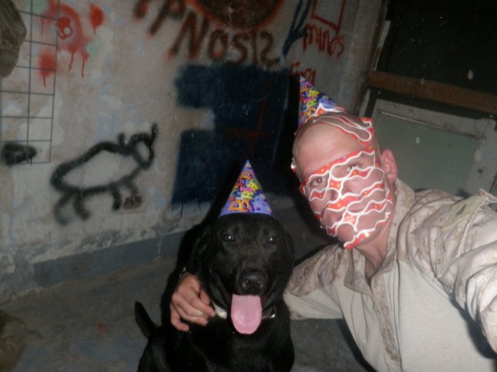 Dog and U.S. Marine bond during war