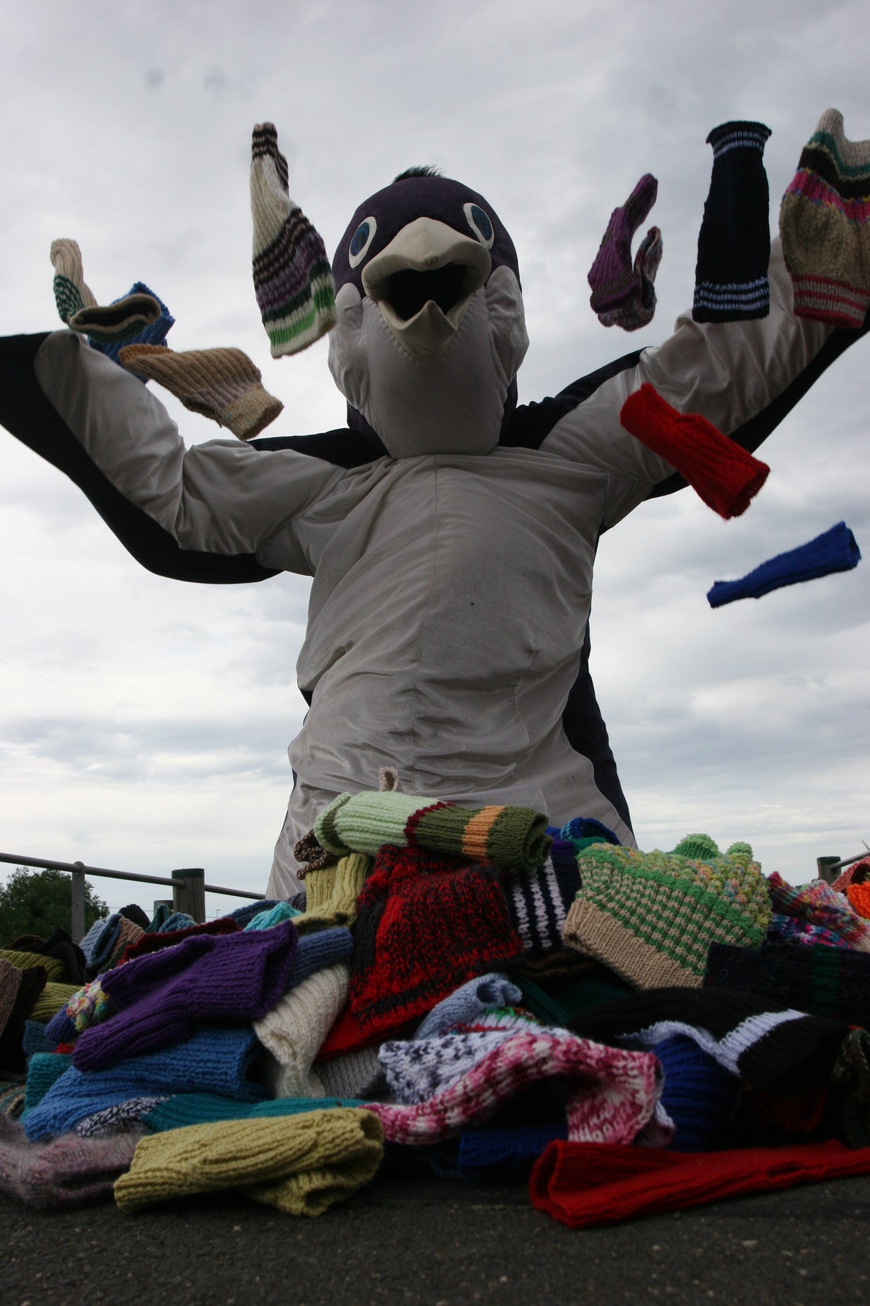 Sweaters for penguins
