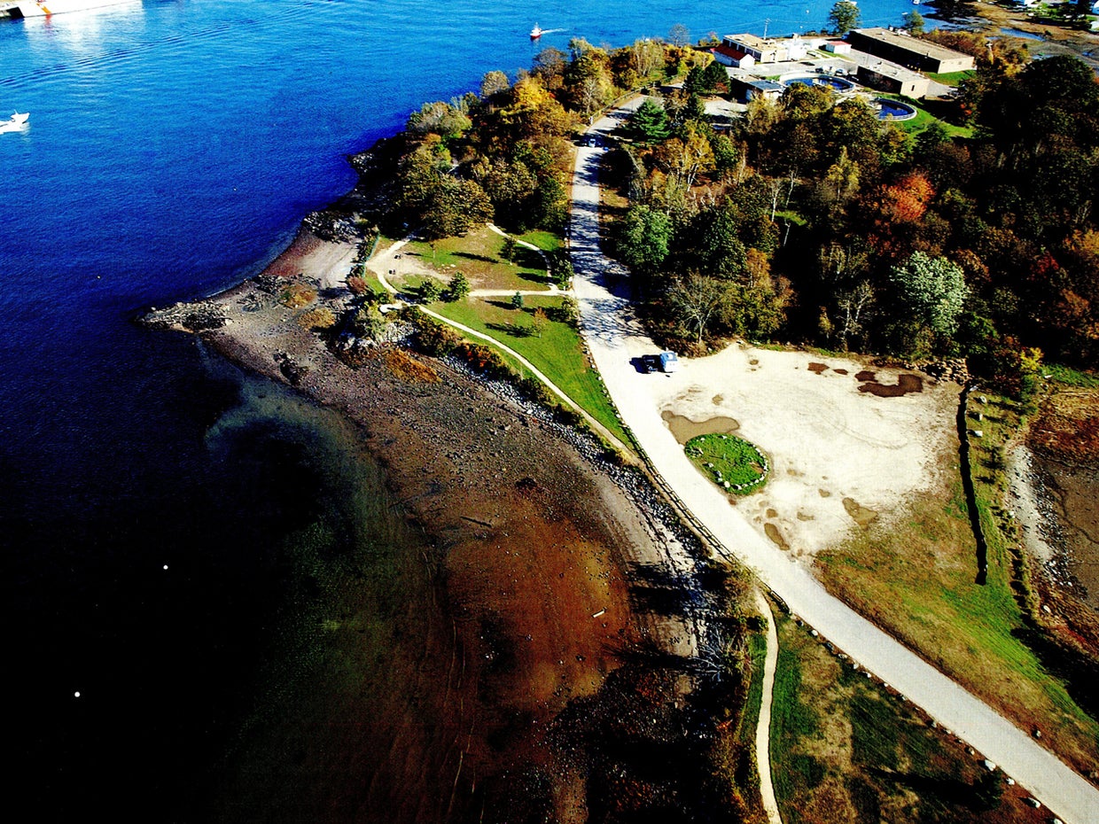 Lizzi Marriott case timeline