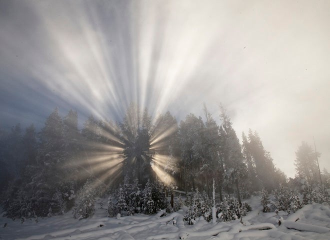 Winter in Yellowstone