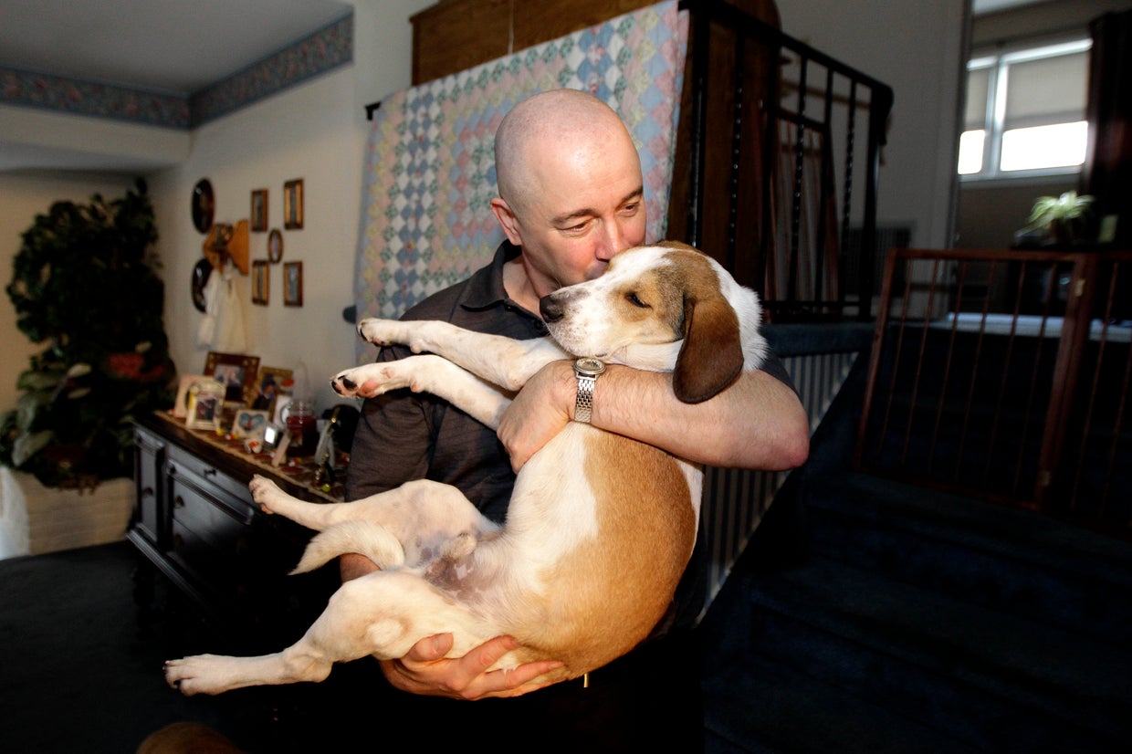 Scrappy animals who beat the odds