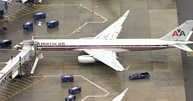 American Airlines flight forced to return to JFK after bird strike ...