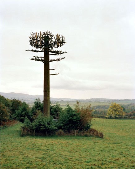 Photographer Robert Voit's "New Trees" are really cell phone towers