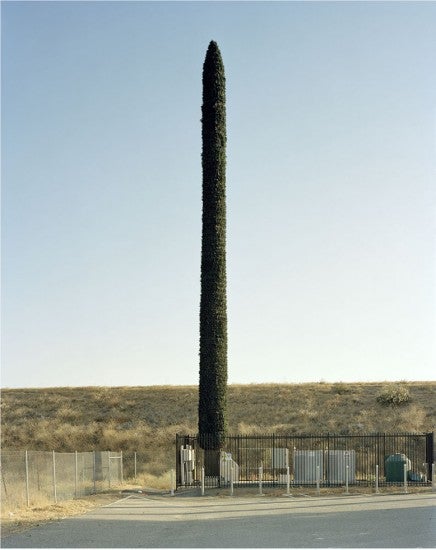 Photographer Robert Voit's "New Trees" are really cell phone towers