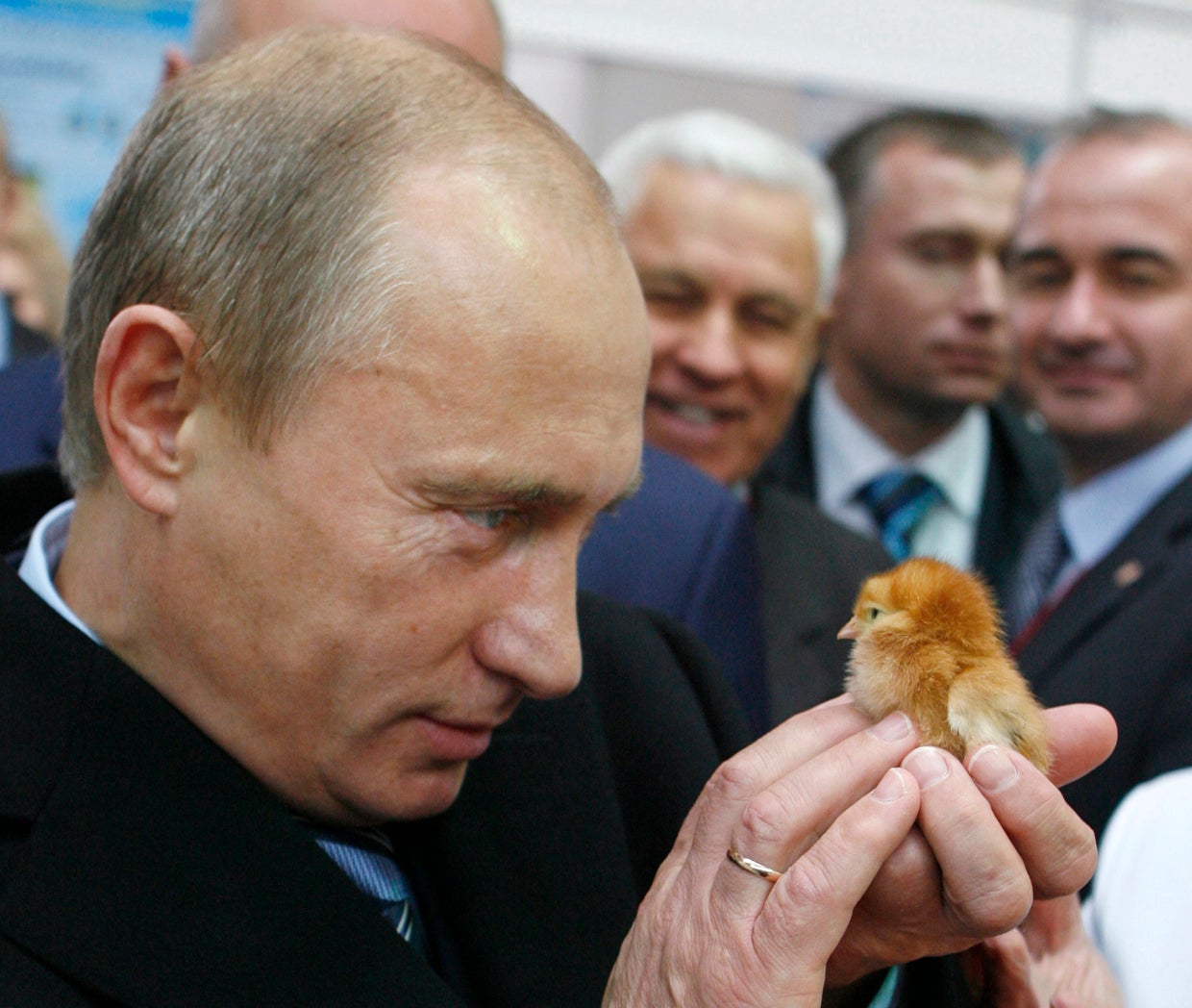 President, animal lover, professional wild man: Russia's Vladimir Putin ...