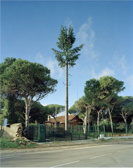 Photographer Robert Voit's "New Trees" are really cell phone towers