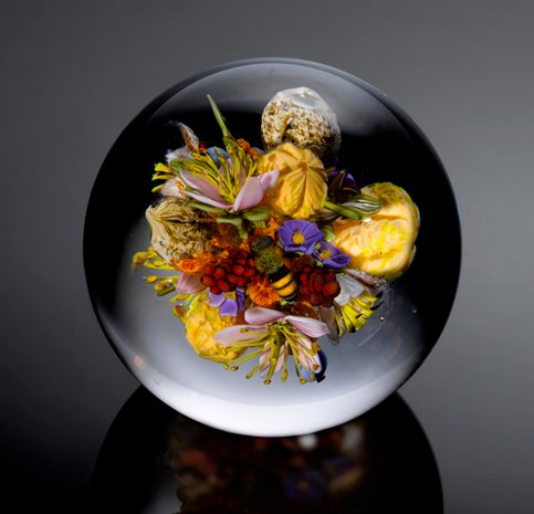 Art frozen in glass: Exquisite paperweights