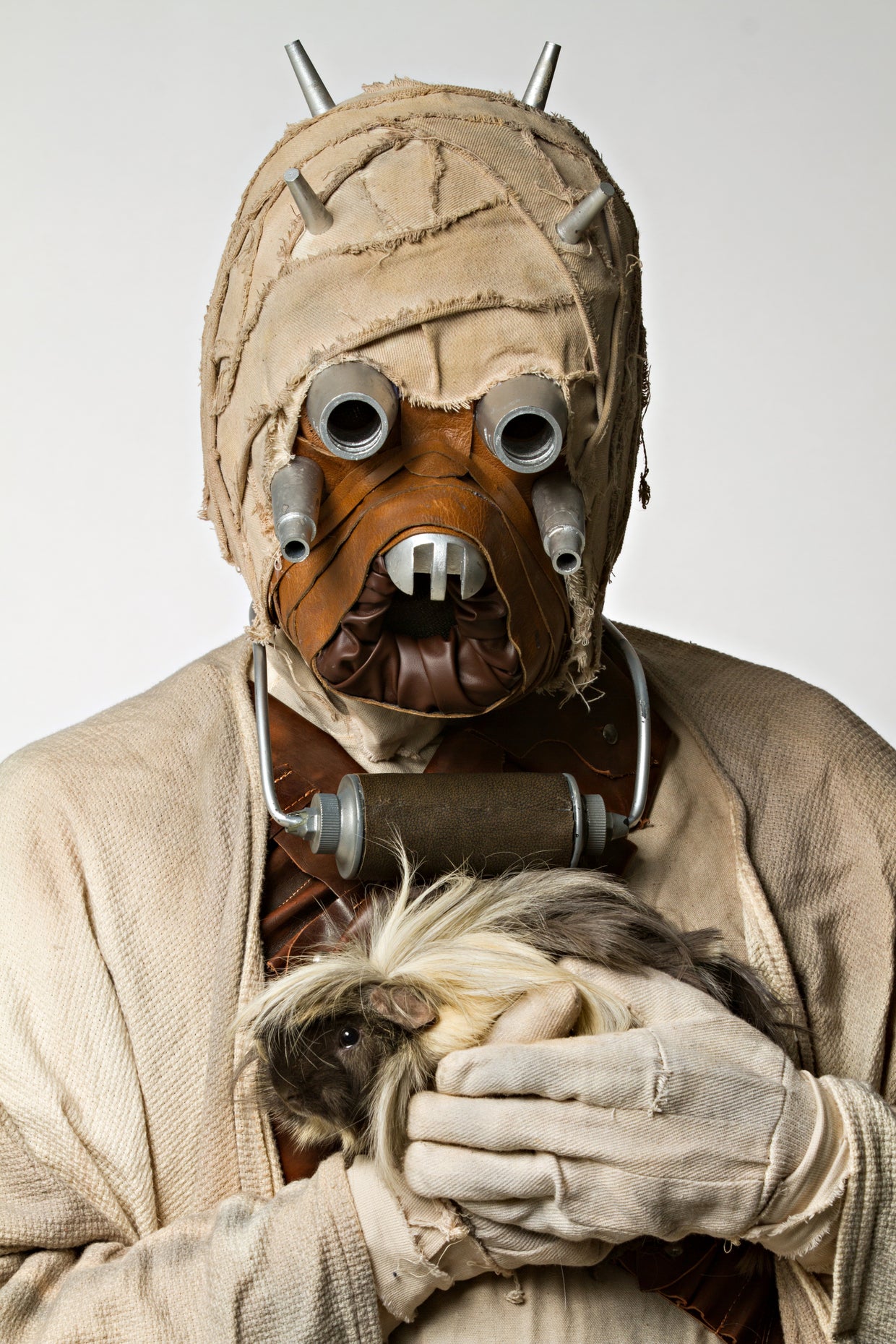 Shelter pets hopping on the Star Wars bandwagon