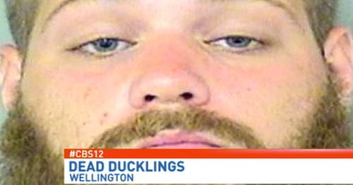 Jason Falbo, Florida landscaper, ran over family of ducks on lawnmower ...