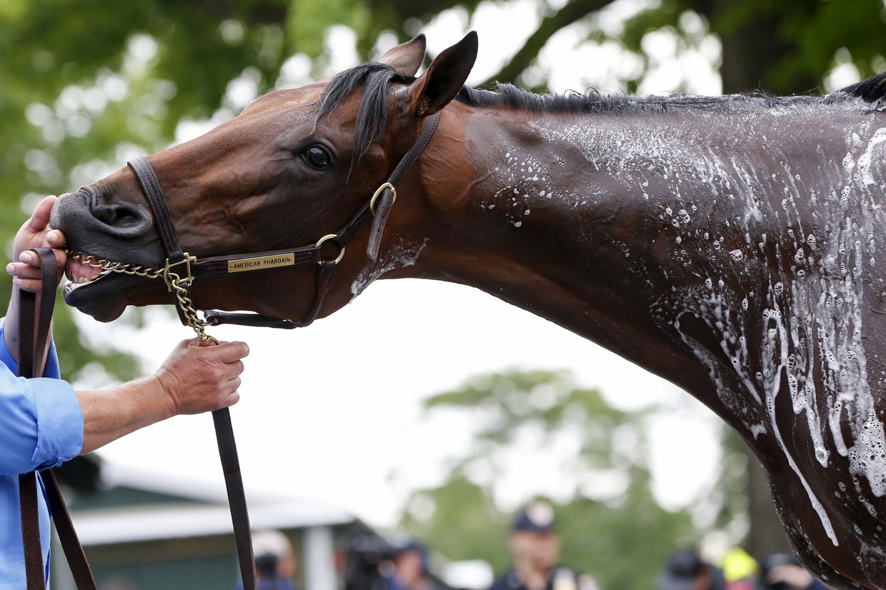 Cool facts about Triple Crown winner American Pharoah