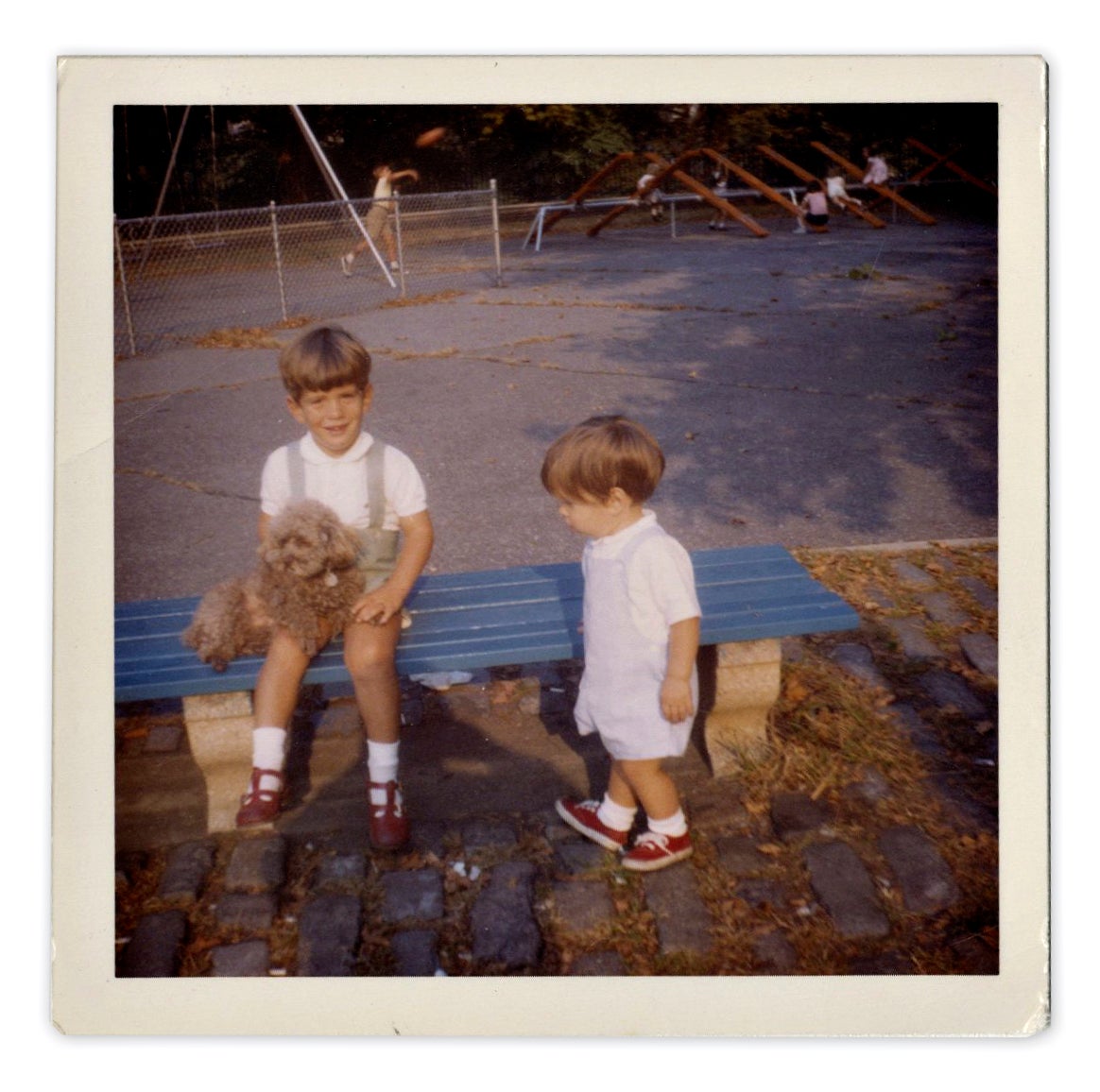 Never before seen Kennedy family photos, maternity dress auctioned