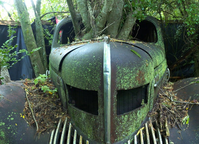A museum of junked cars
