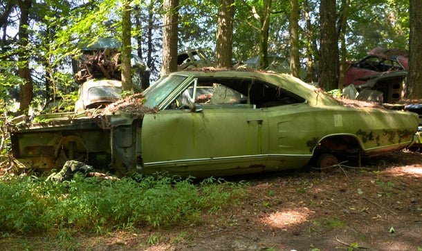 A museum of junked cars