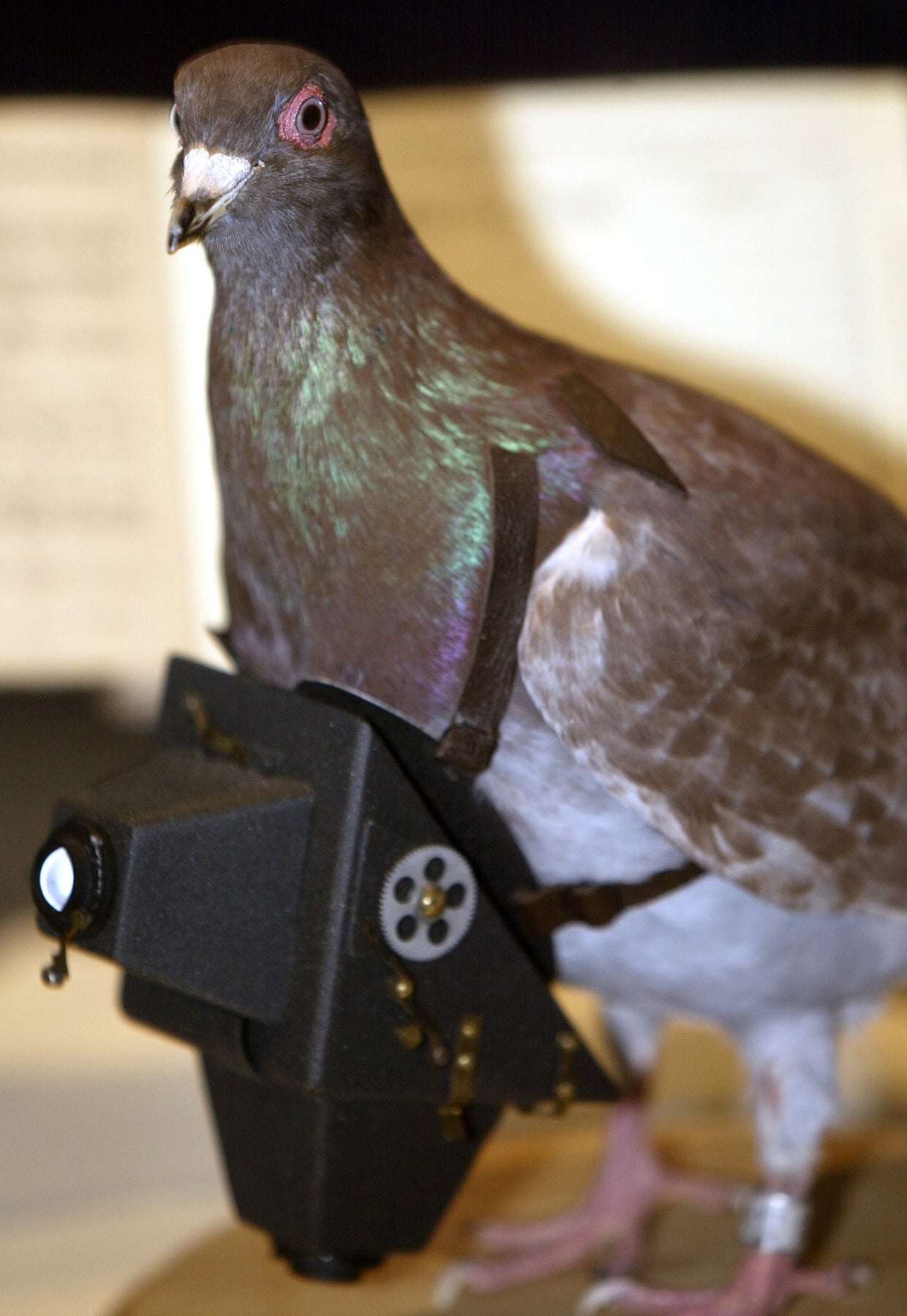 The most notorious spies in history