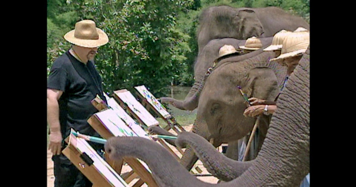 Stroke of genius: Can elephants make art? - CBS News