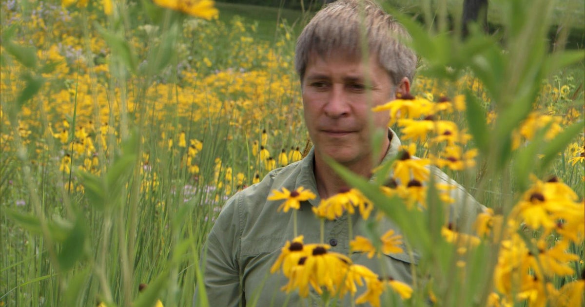 Steve Hartman: "I have a weed addiction" - CBS News