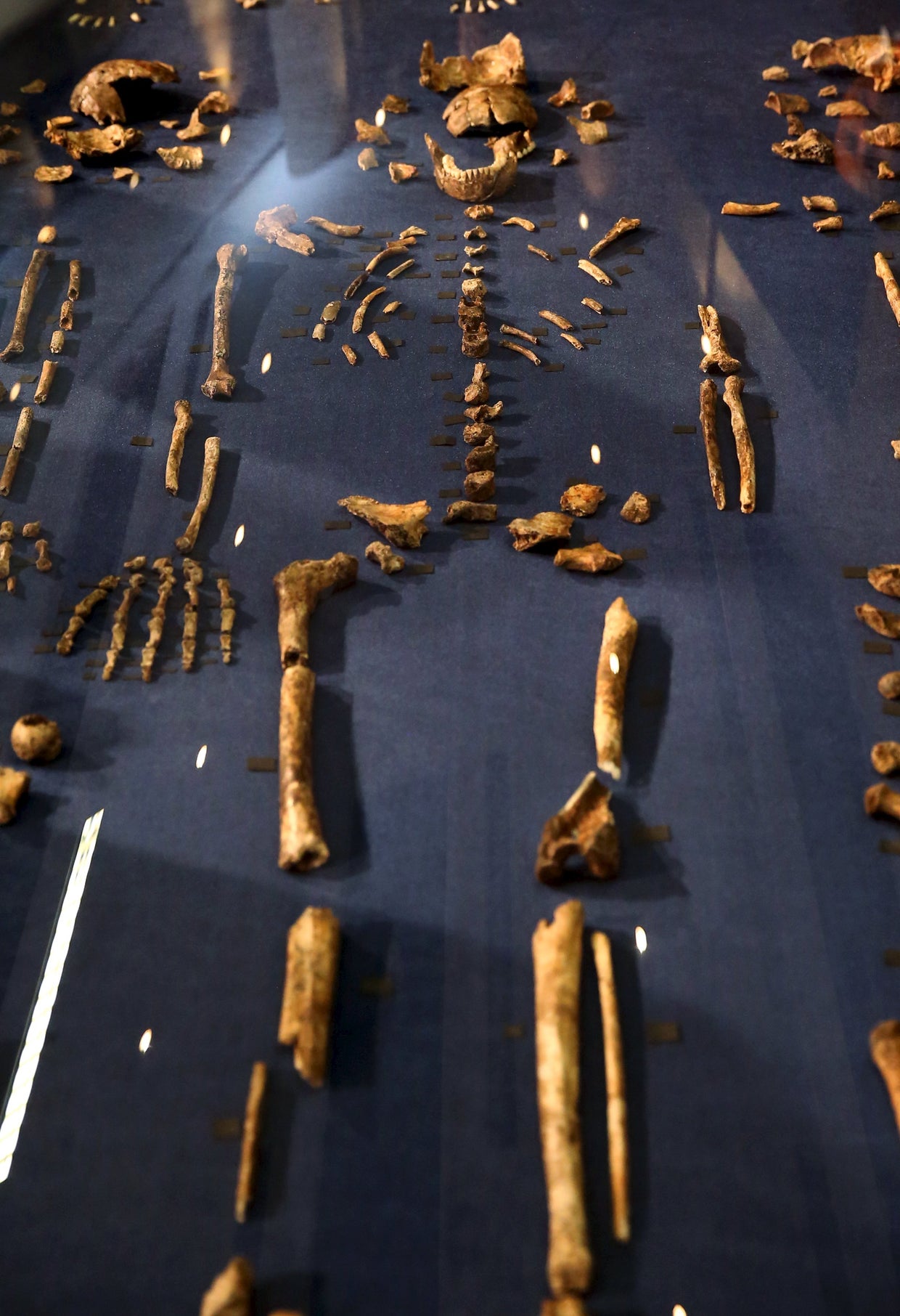New almost human relative - Homo naledi - discovered in South Africa