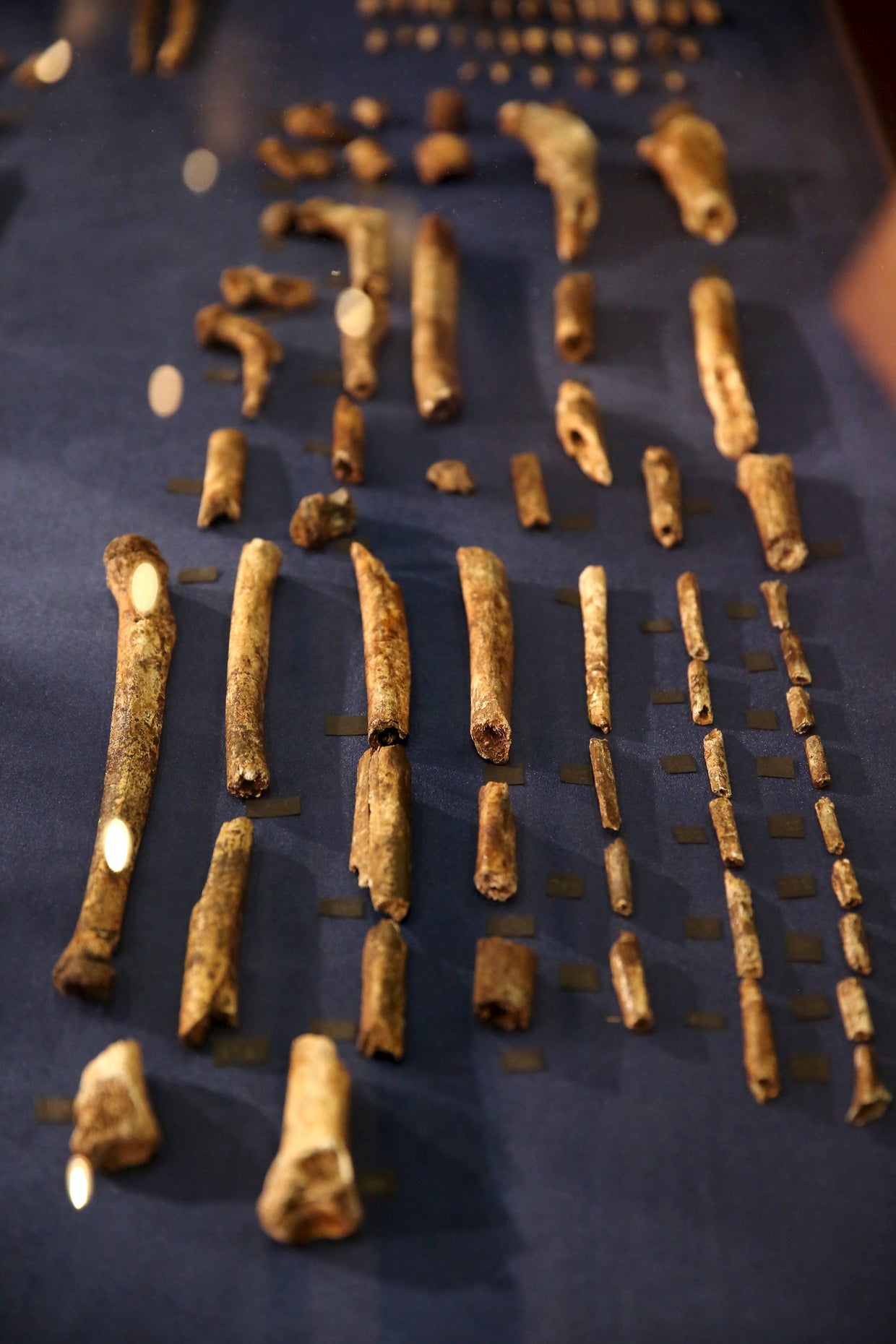 New almost human relative - Homo naledi - discovered in South Africa