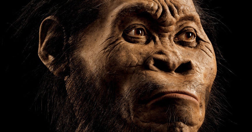 Extinct tree-climbing human walked with a swagger - CBS News